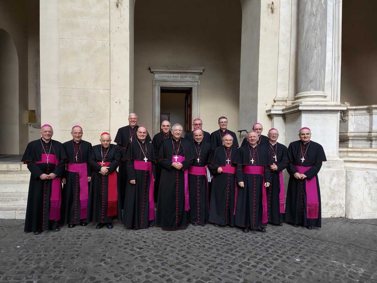 Bischof Muser bei Papst Franziskus: "Habt keine Angst, realistisch zu sein"